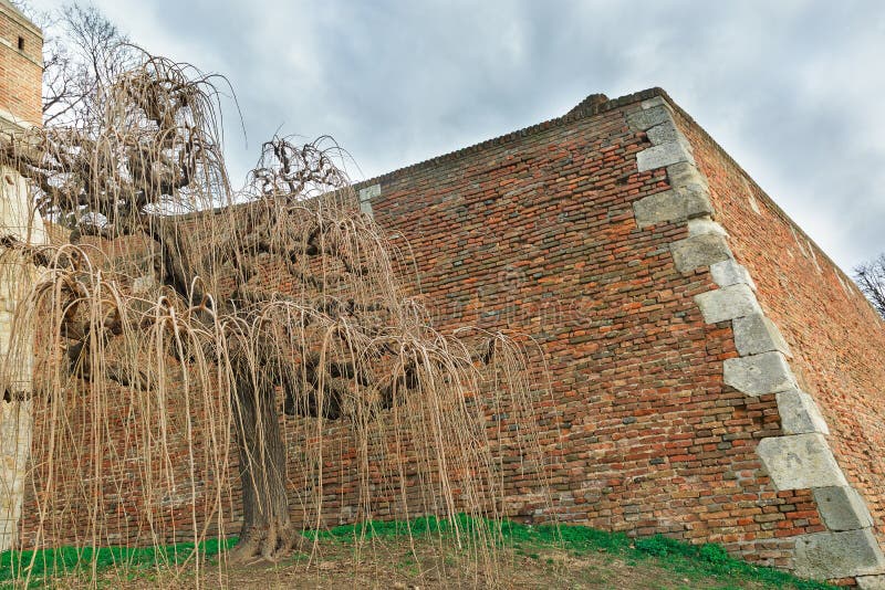 Kalemegdan Fortress and Trees Stock Image - Image of cool, forest ...