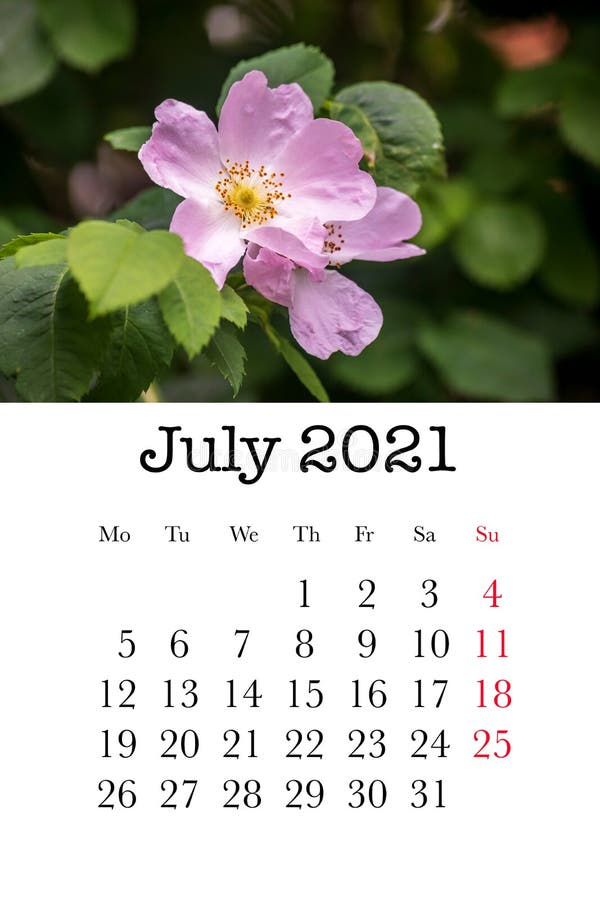 Kalender Voor De Maand Juli Stock Afbeelding - Image of vakantie, april ...