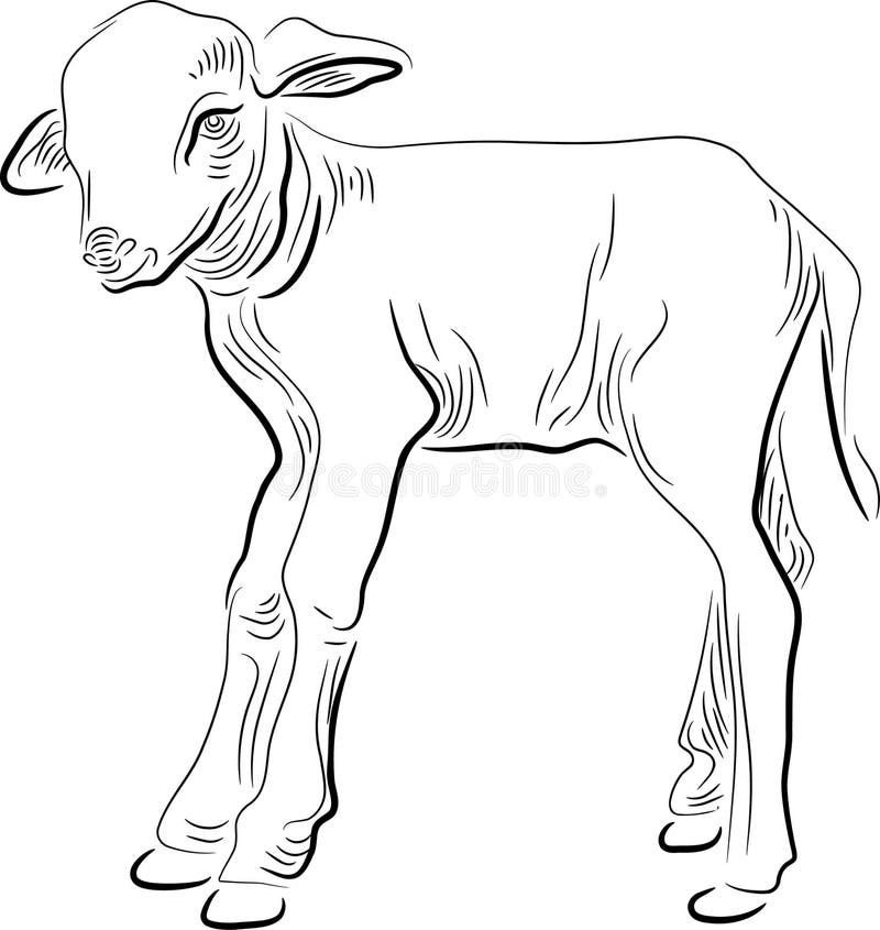 Koe en kalf vector illustratie. Illustration of generatie - 56490316