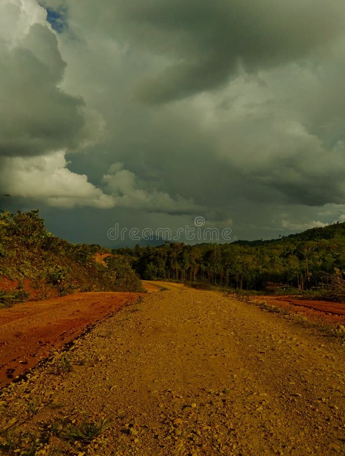 Kalimantan is an Area with High Rainfall. Stock Image - Image of high ...