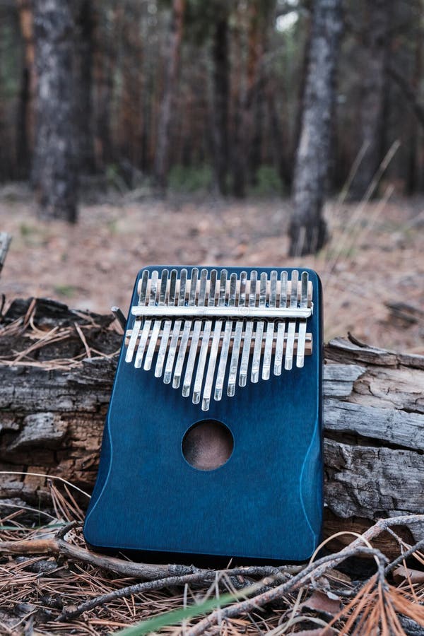 African musical instrument stock image. Image of party - 2334721