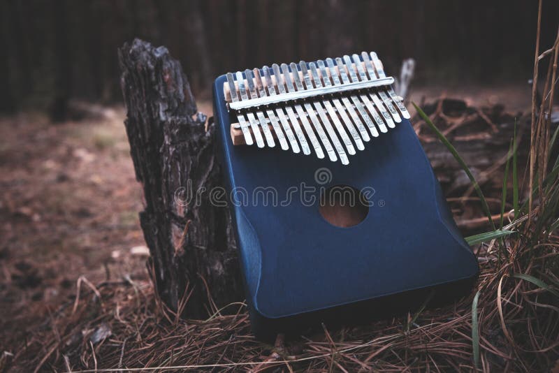 African musical instrument stock image. Image of iron - 5312691