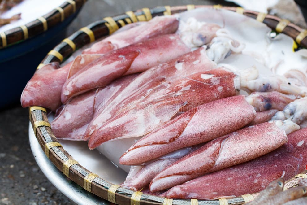 Kalmar stockfoto. Bild von tentakel, purpurrot, wasser - 44250806