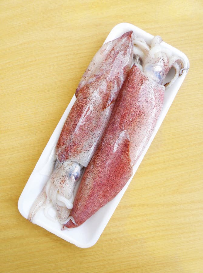 Kalmare stockbild. Bild von kalmare, tentakel, ozean - 23112461