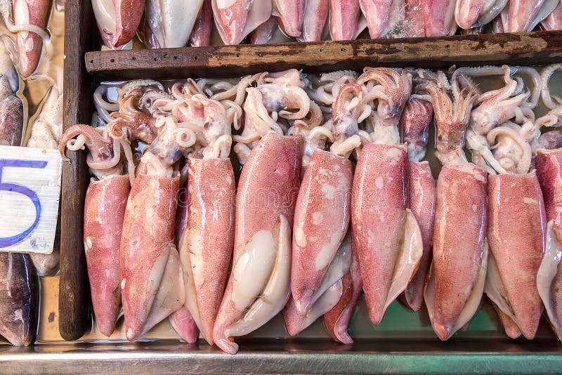 Rote Kalmare am Markt stockbild. Bild von koch, essen - 18390121