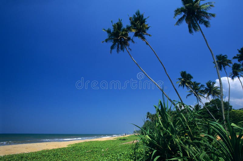 Kalutara beach Sri Lanka stock photo. Image of asian - 23093224