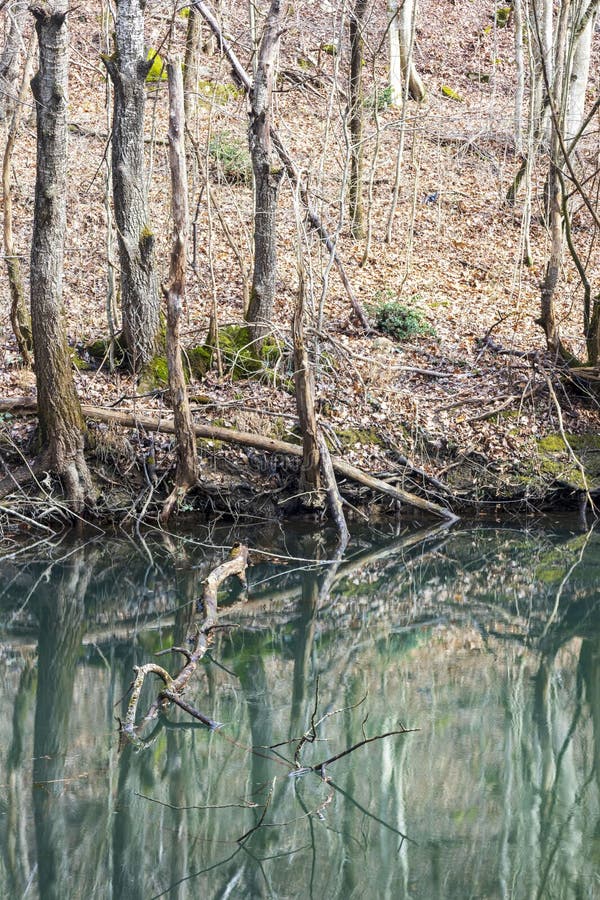 Rain Fed River Stock Photos - Free & Royalty-Free Stock Photos from ...