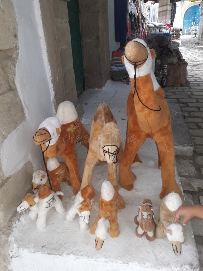 Kamel Tunisia Poof Toy Traditionnel Toy Stock Photo - Image of tunisia ...