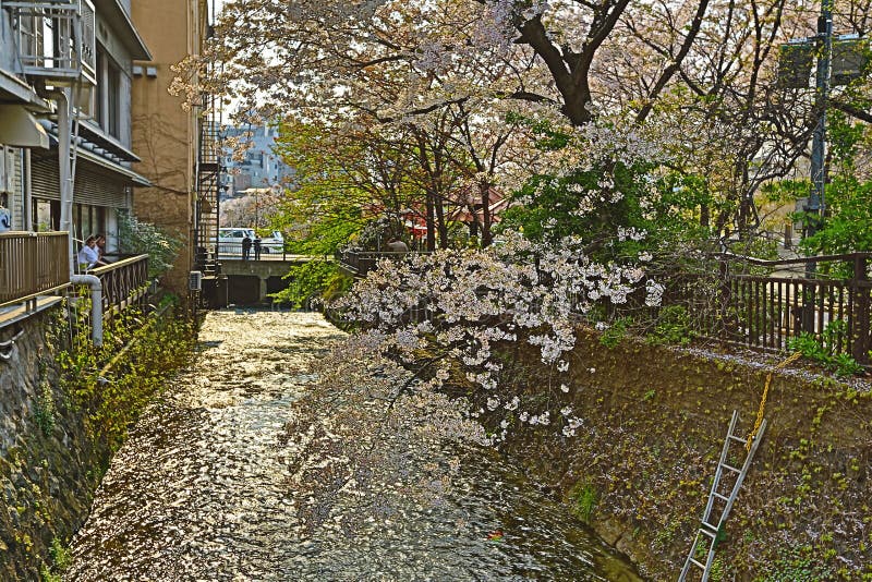 Kyoto Spring stock image. Image of color, romantic, lake - 13230369