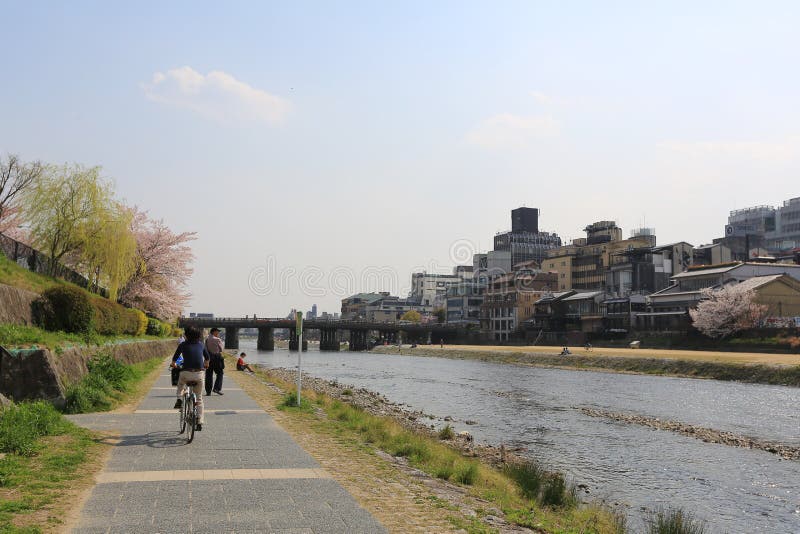 The Kamo river in Kyoto editorial image. Image of island - 95418090