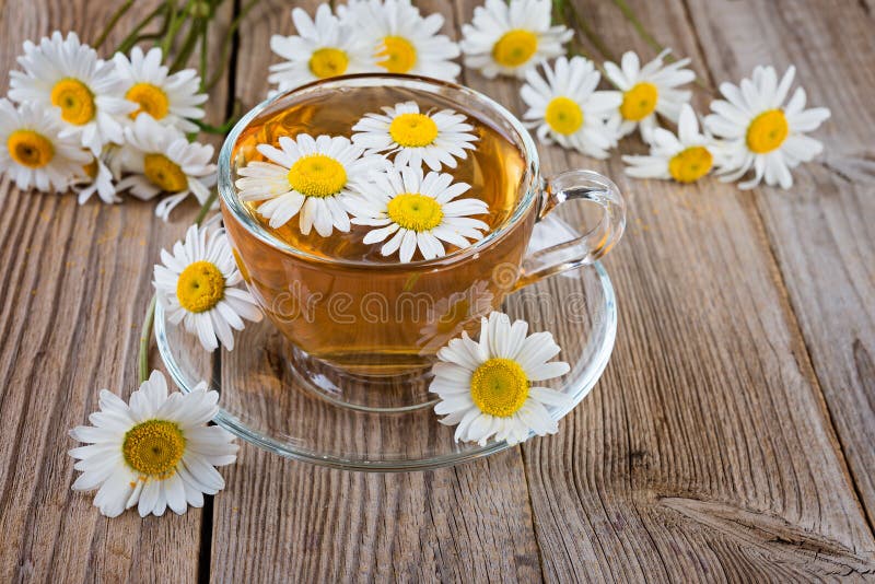 Kamomillte Och Kamomillblommor Arkivfoto - Bild av sommar, hälsa: 93783014