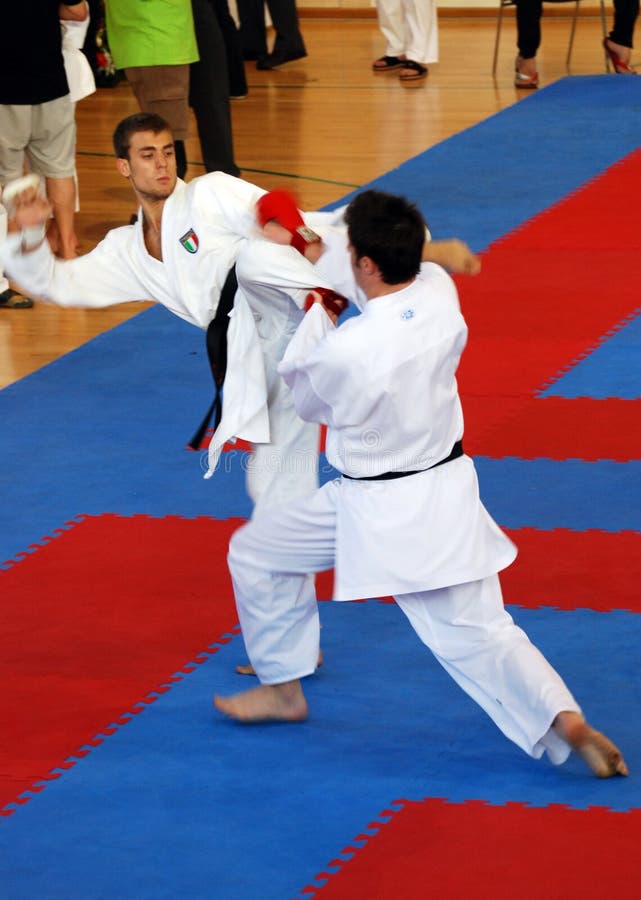 Kampioenschappen Van De Karate Van Wuko De Europese Redactionele Stock ...