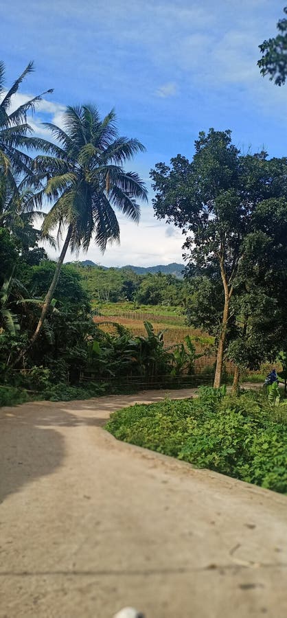 Rumpin Stock Photos - Free & Royalty-Free Stock Photos from Dreamstime