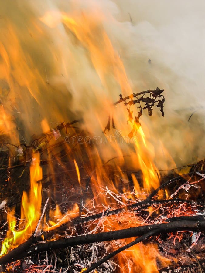Kampvuur 2 stock afbeelding. Image of kleurrijk, gebrand - 102283407