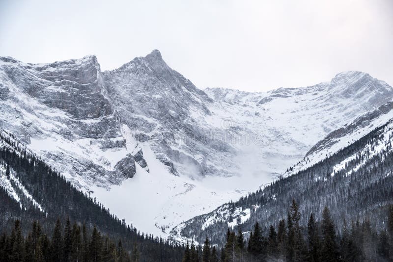 Kananaskis Country stock photo. Image of peaks, trees - 243565542