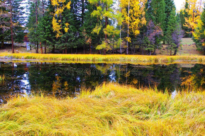 Kanas Scenery,the Colour of Autumn Stock Photo - Image of water ...