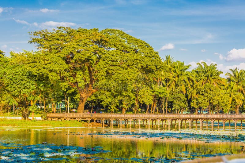 Kandawgyi Lake Yangon in Myanmar Stock Photo - Image of nature, myanmar ...
