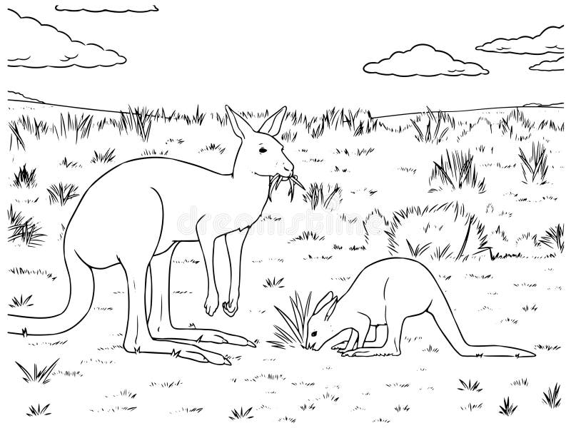 Smaller Kangaroo Stock Illustrations – 6 Smaller Kangaroo Stock ...