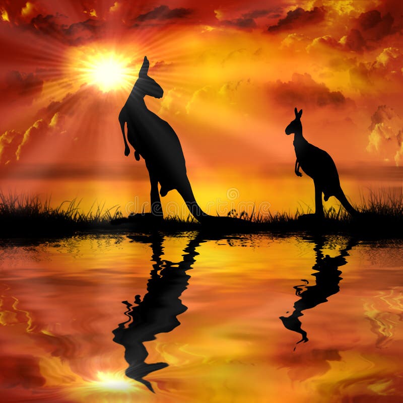 Kangaroo on a Beautiful Sunset Background Stock Illustration ...