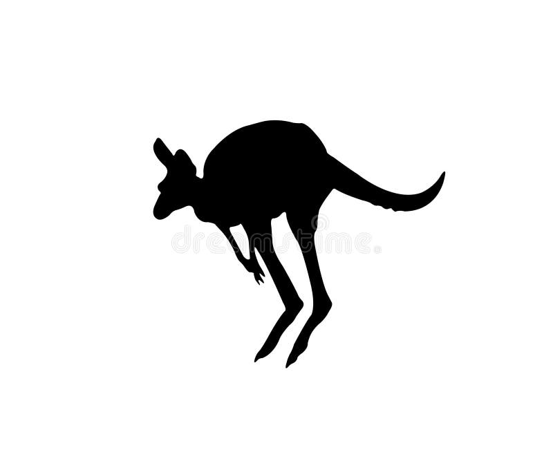 Black Kangaroo Illustrations on White Background, Vector Eps Stock ...