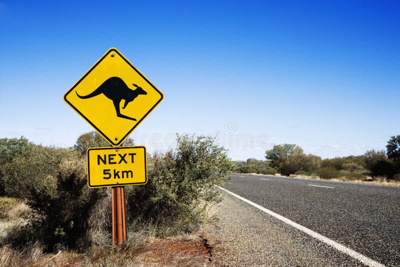 Kangaroo Crossing Australia Stock Image - Image of highway ...