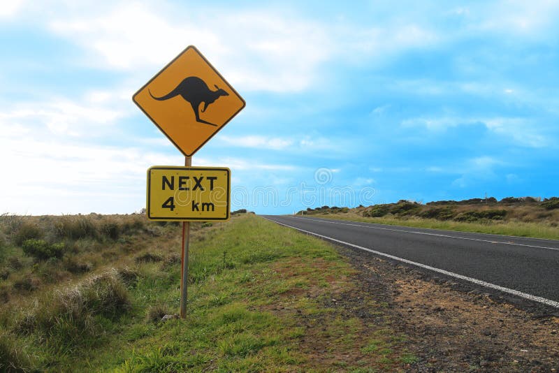 Kangaroo crossing stock image. Image of traffic, sign - 31803001