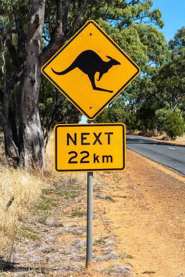 Kangaroo Crossing Sign in Australia Stock Image - Image of alarm ...