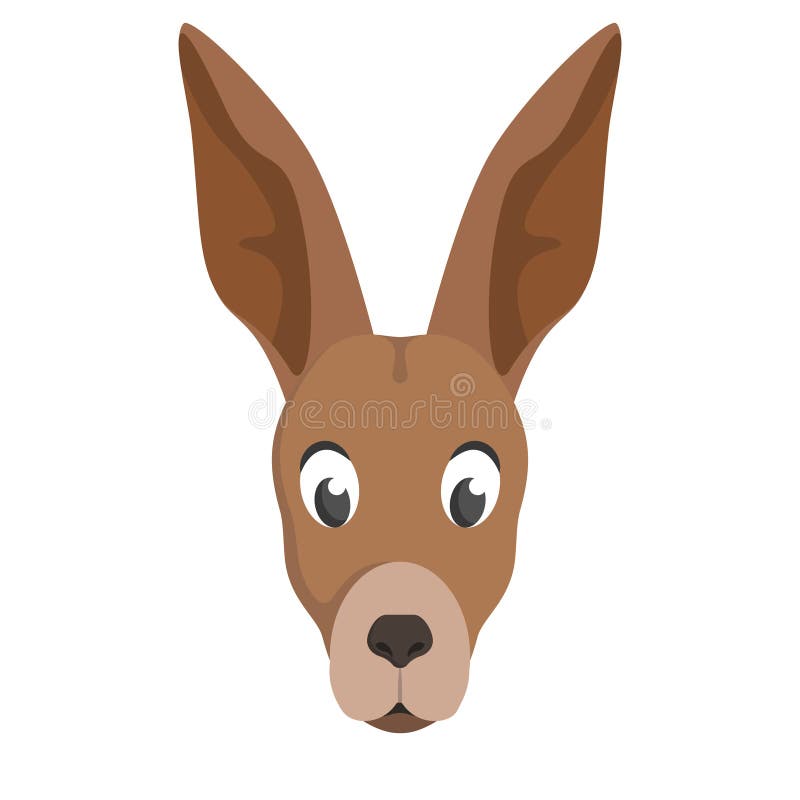 Kangaroo face front view. stock vector. Illustration of vector - 232154970