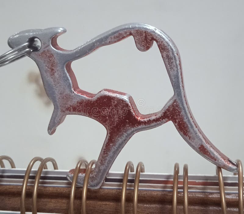 Kangaroo key chain stock image. Image of ausie, metal - 316483045