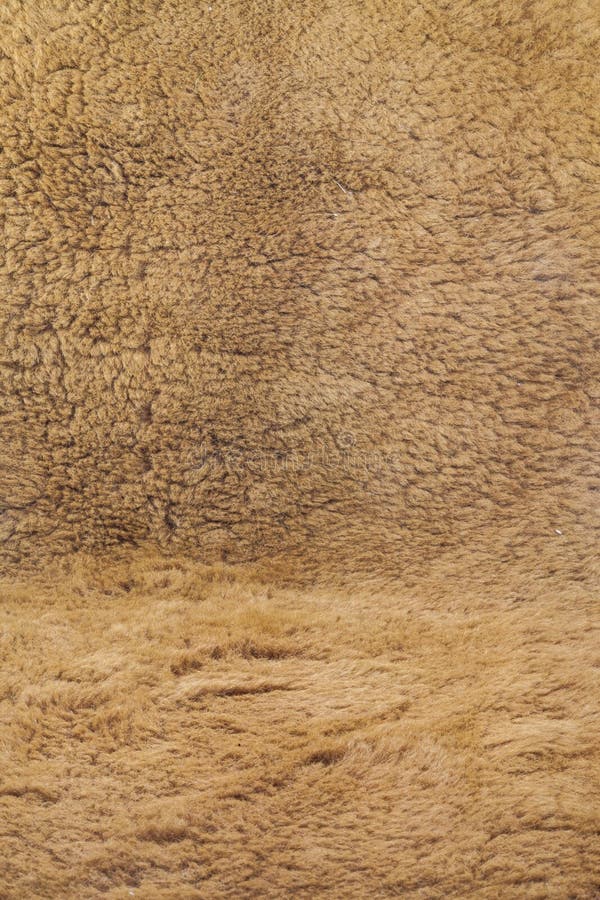 234 Kangaroo Texture Photos - Free & Royalty-Free Stock Photos from ...