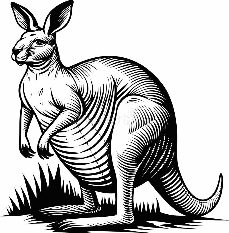 Fat Kangaroo Stock Illustrations – 19 Fat Kangaroo Stock Illustrations ...