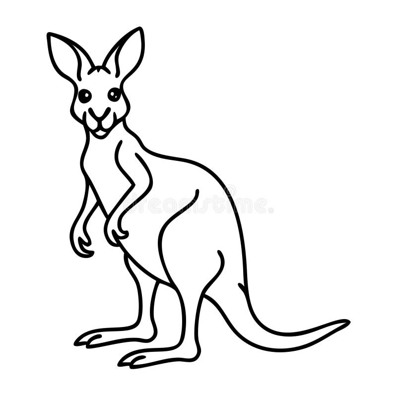 Kangaroo Outline Vector Illustration for Coloring Books and Educational ...
