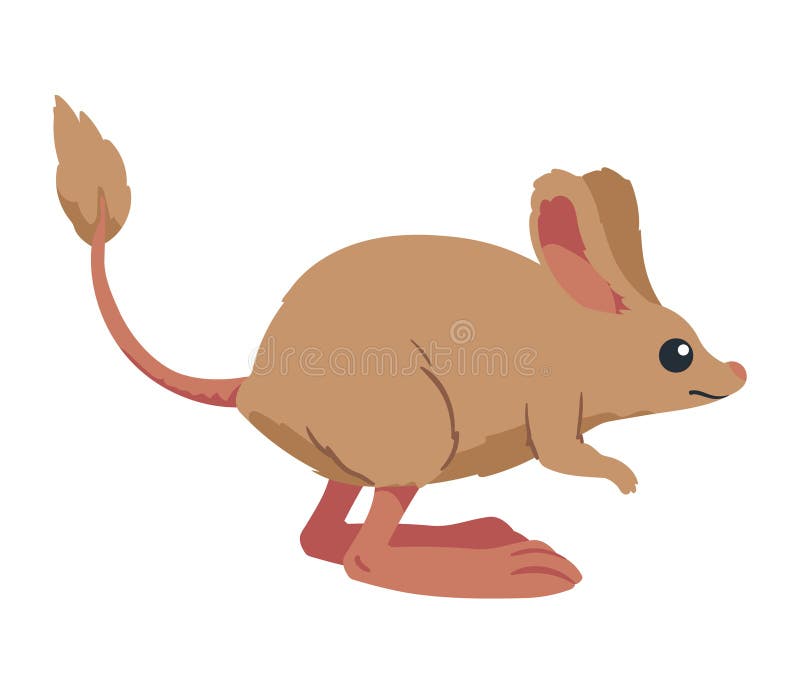 Kangaroo rat desert animal stock vector. Illustration of rodent - 353644277