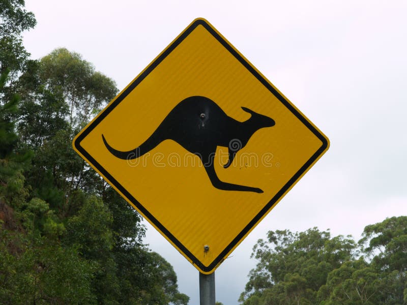 Kangaroo road sign stock image. Image of 20km, side, australia - 45336331