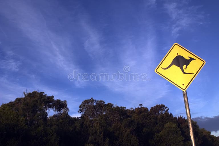 Kangaroo Sign stock photo. Image of outback, kangaroo, road - 969800