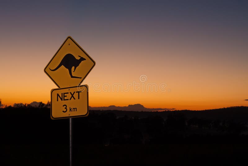 Kangaroo sign stock image. Image of road, australia, sign - 6850975