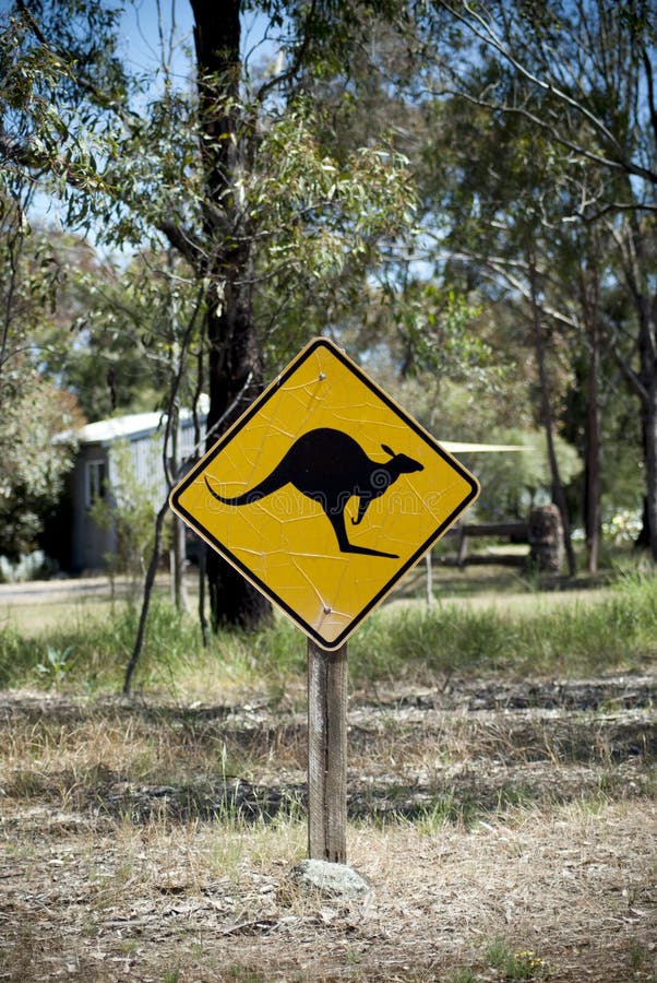 Kangaroo Sign Post in the Country Stock Image - Image of sign, animal ...