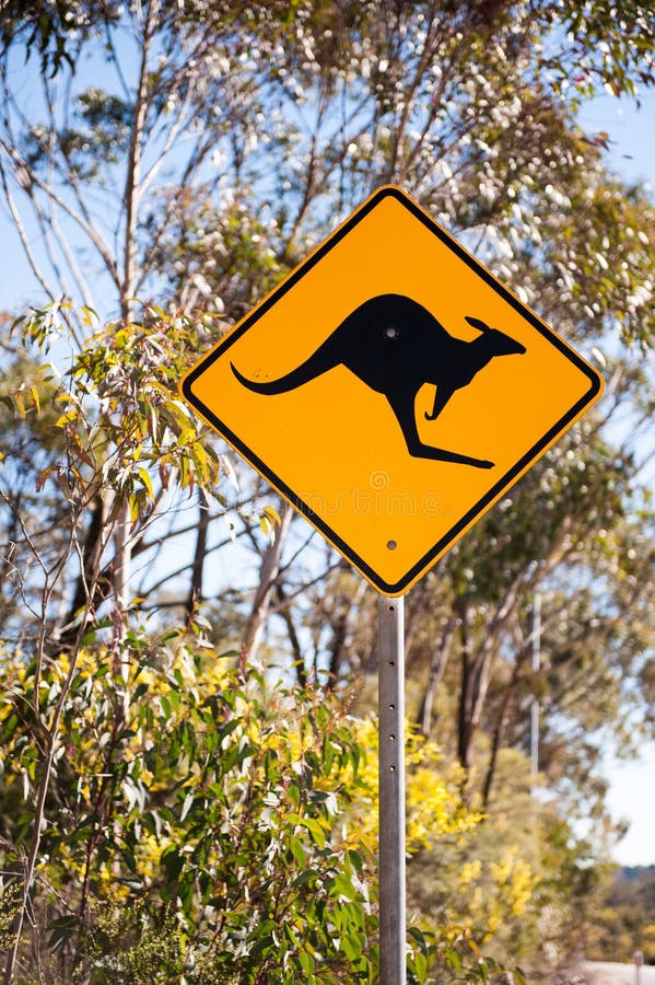 Kangaroo Sign stock photo. Image of fauna, eucalypt, australia - 40158334