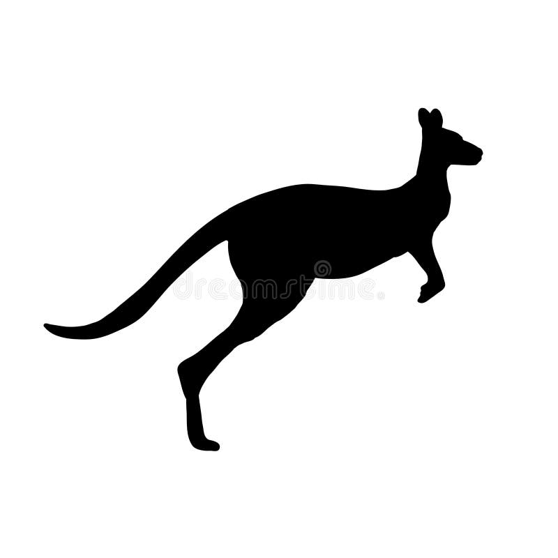 Kangaroo Silhouette - Vector Illustration Stock Vector - Illustration ...