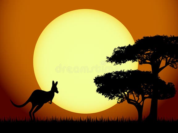 Kangaroo Sunset Background Stock Illustrations – 906 Kangaroo Sunset ...
