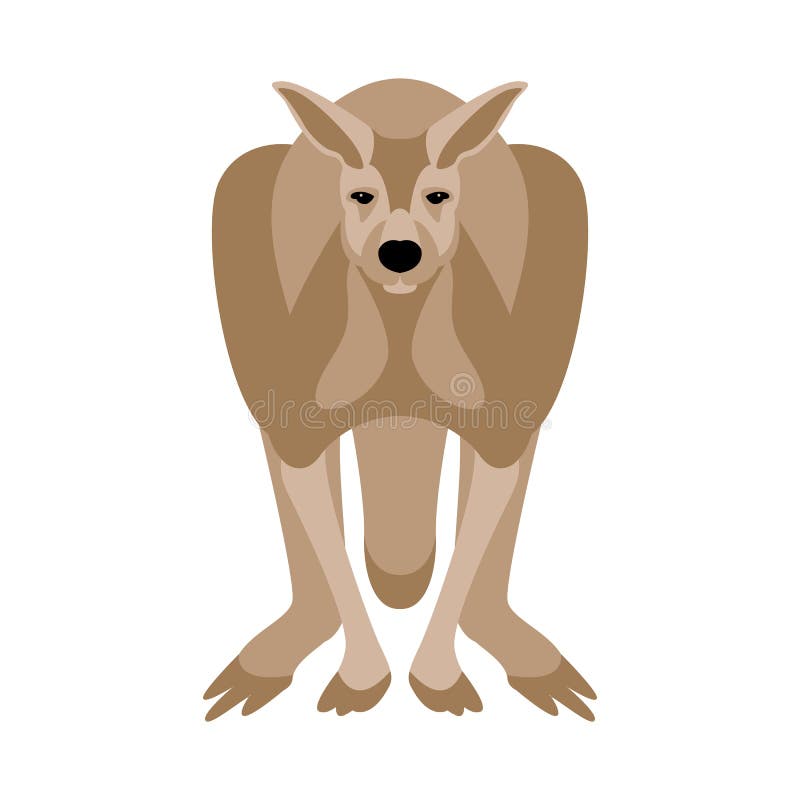 Kangaroo Vector Illustration Flat Style Stock Vector - Illustration of ...