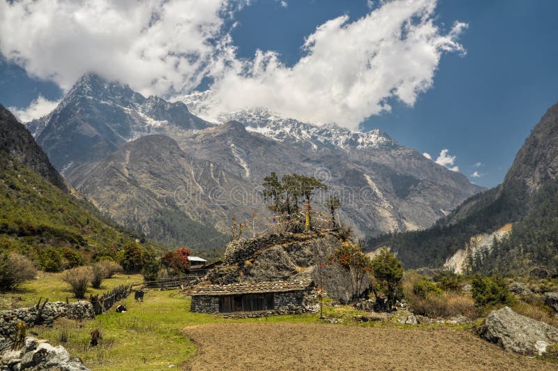 Kangchenjunga Mountain, Sikkim, India Stock Photo - Image of peak ...