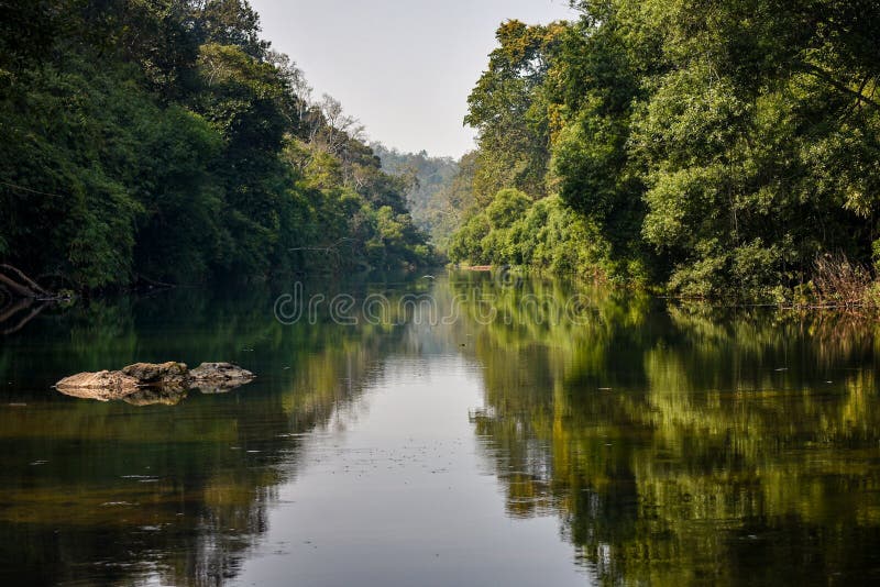 Kanger river stock image. Image of national, tree, jagdalpur - 232566529