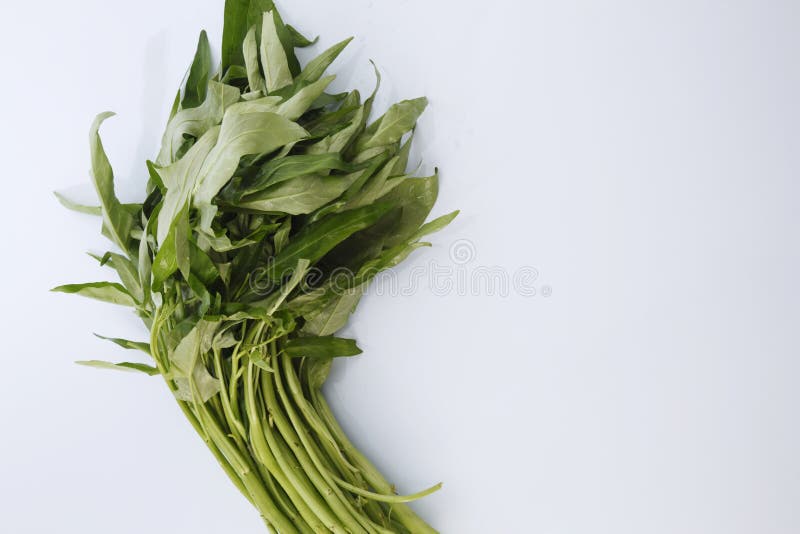 Kangkong photo stock. Image du régime, repas, type, frais - 63909114