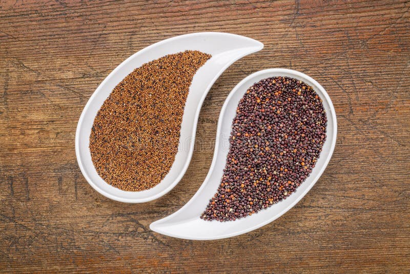 Kaniwa and quinoa grain stock image. Image of quinoa - 50992167