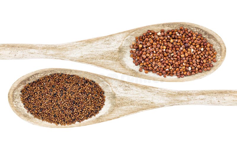 Kaniwa and quinoa grain stock image. Image of abstract - 50264659