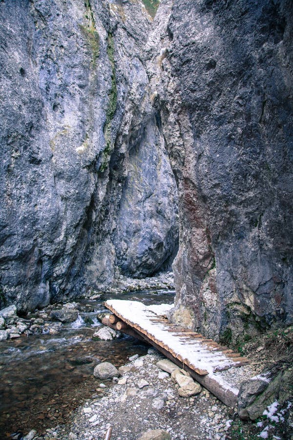 Kanjon arkivfoto. Bild av stenigt, slovakia, ravin, vattendrag - 51395954