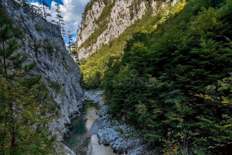 Kanjon Moraca I Montenegro, Europa Arkivfoto - Bild av ekologisk, flöde ...