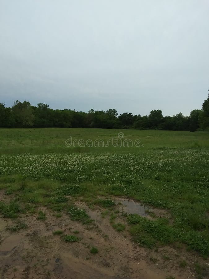 Kansas flat field stock photo. Image of lawn, plant - 224292760