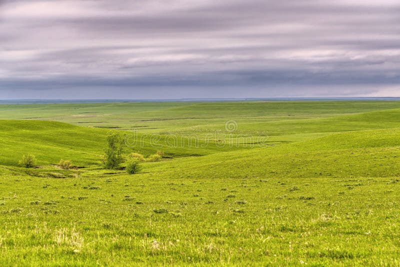 Kansas Flint Hills stock photo. Image of rolling, grass - 241121350